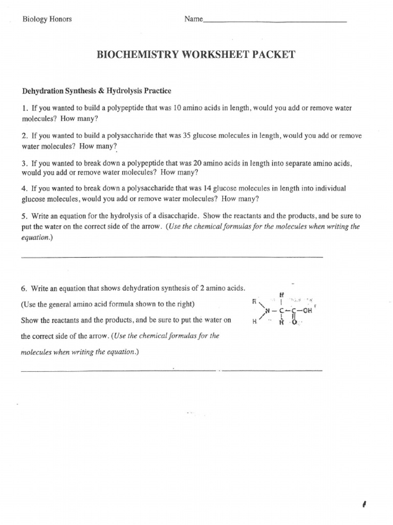 Biochemistry Worksheet Packet blank | PDF