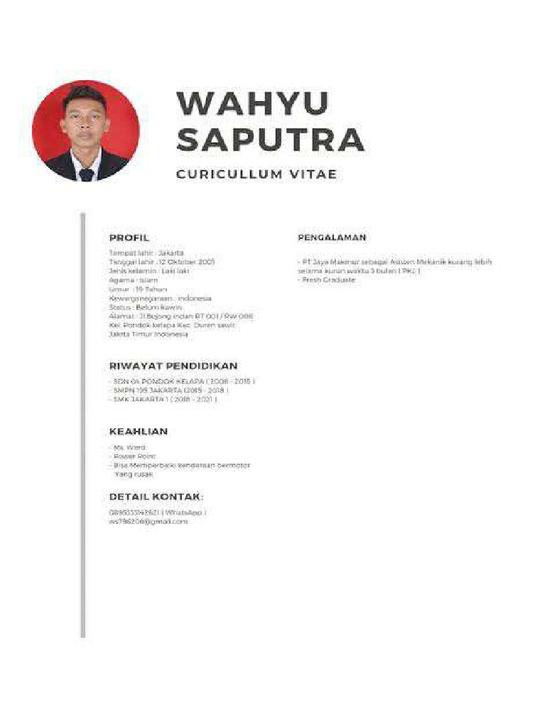 Contoh CV 1 | PDF