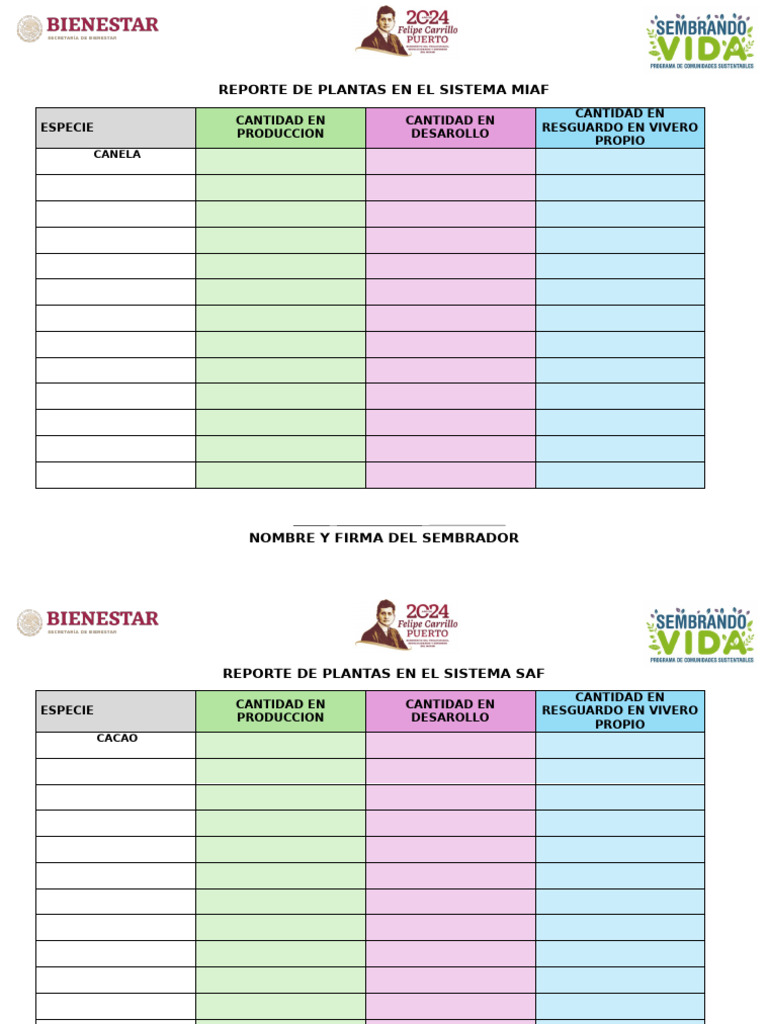 Reporte de Plantas en El Sistema Miaf y Saf | PDF