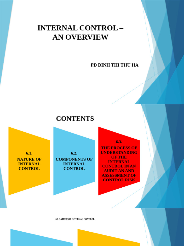 Chapter 6 Internal Control | PDF