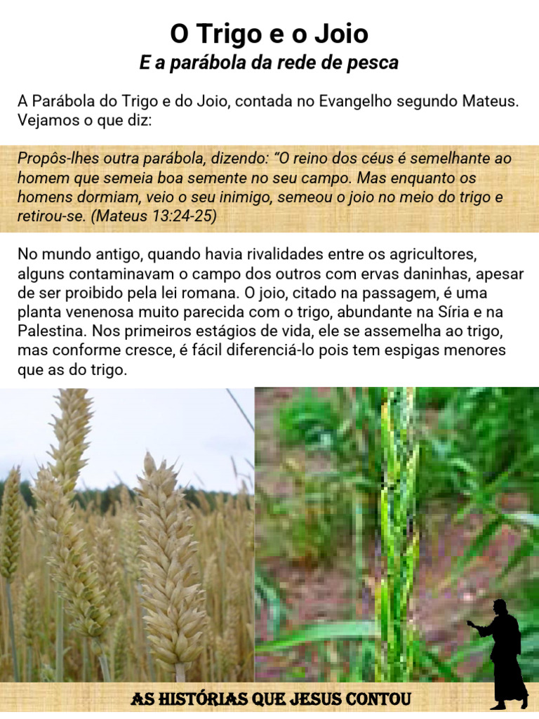 Parábola do Joio e do Trigo Explicada | PDF | Jesus