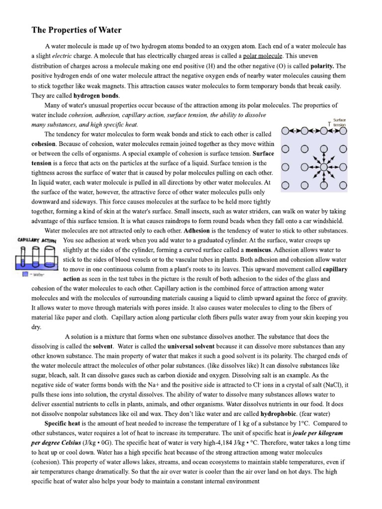 Properties of Water | PDF