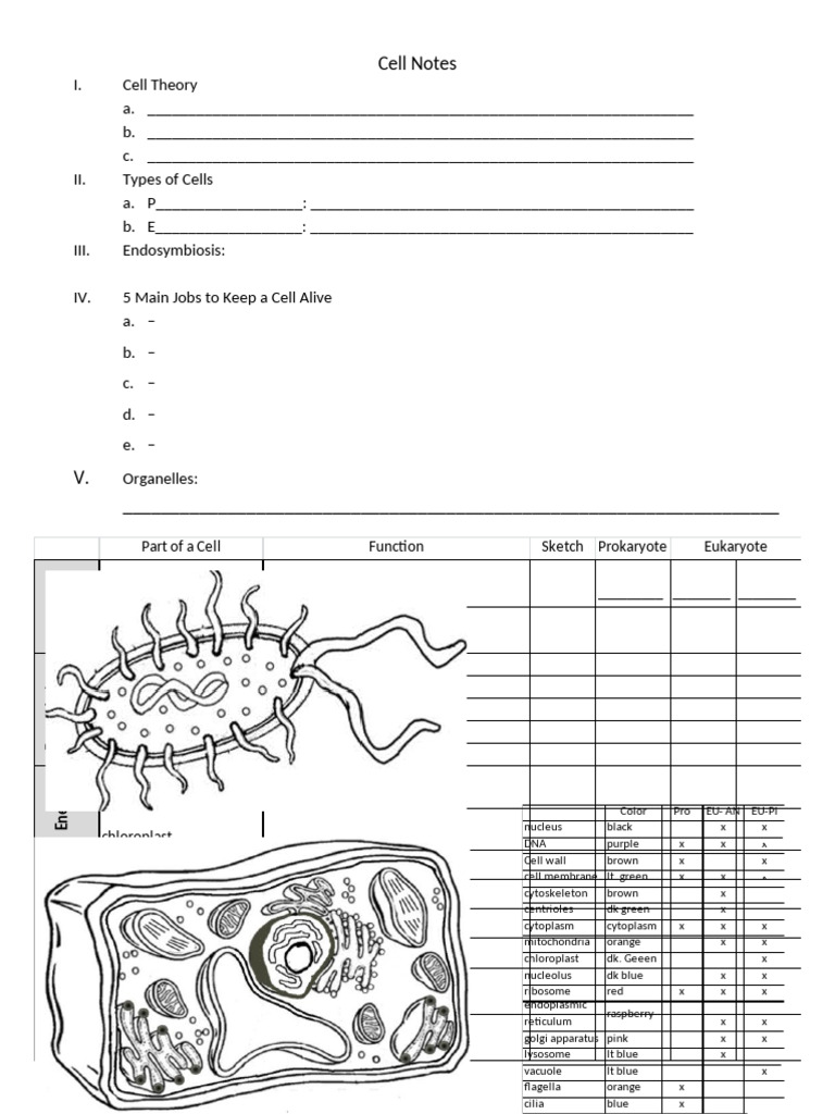 Cell Notes | PDF