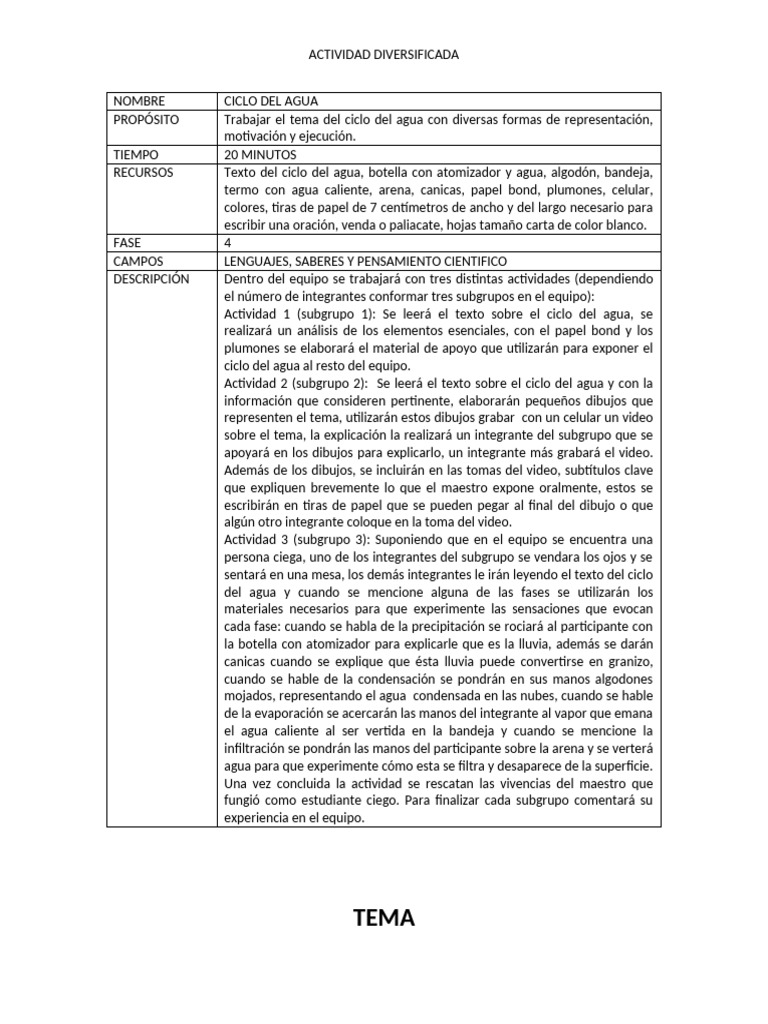 ACTIVIDAD DIVERSIFICADA | PDF