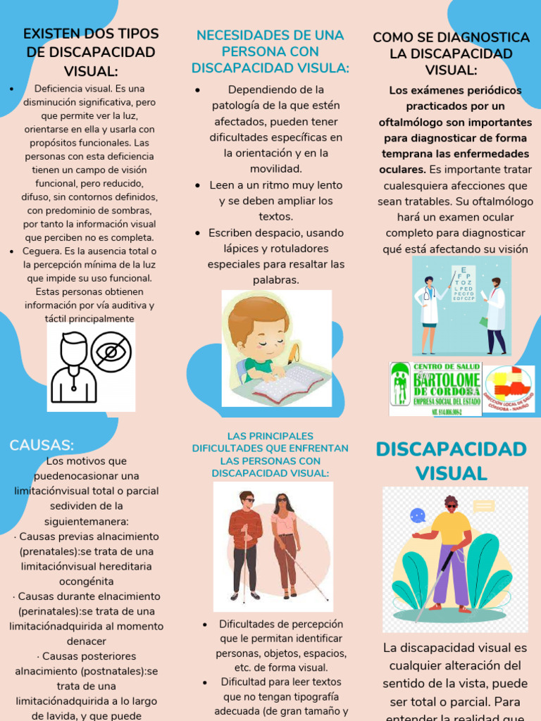 Discapacidad Visual | PDF | Discapacidad visual | Salud y bienestar