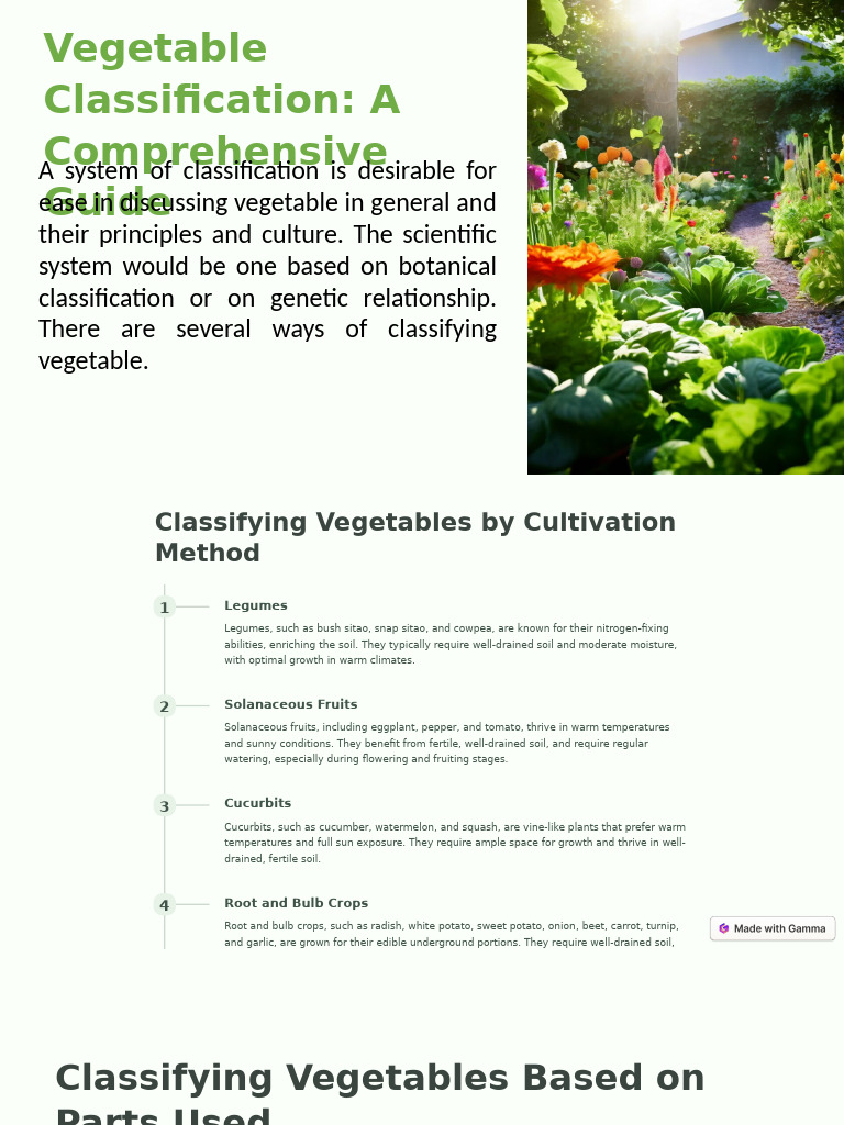 Vegetable Classification A Comprehensive Guide | PDF