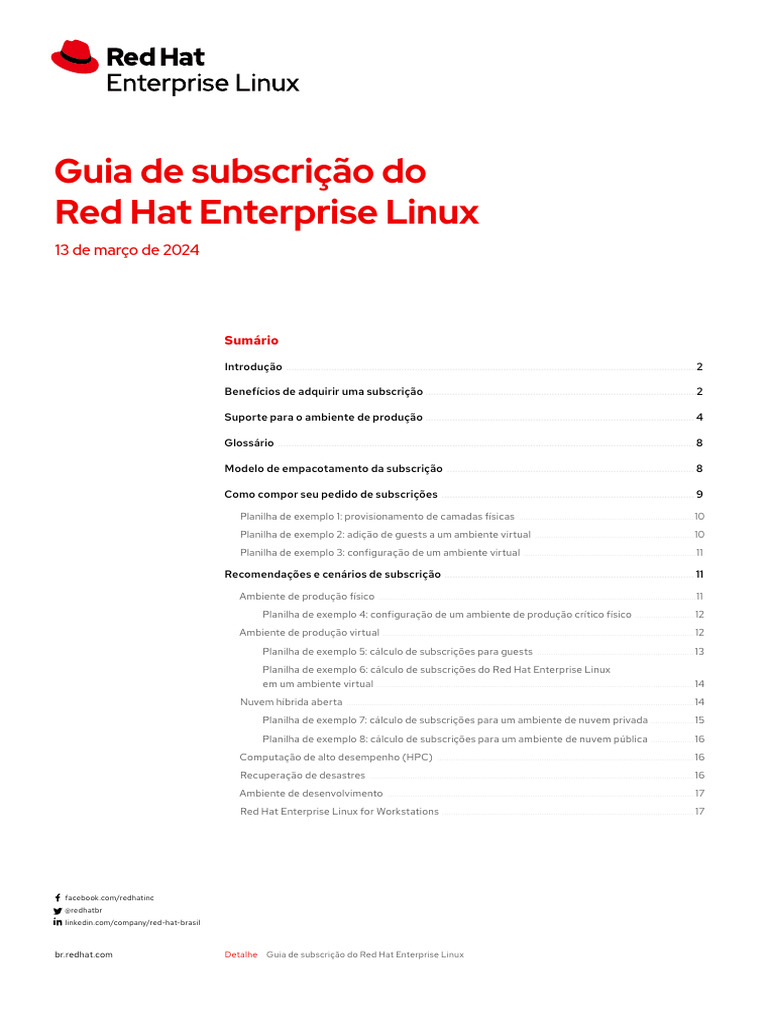 Li Linux Rhel Subscription Guide Detail 639715pr 202312 A4 PTBR | PDF