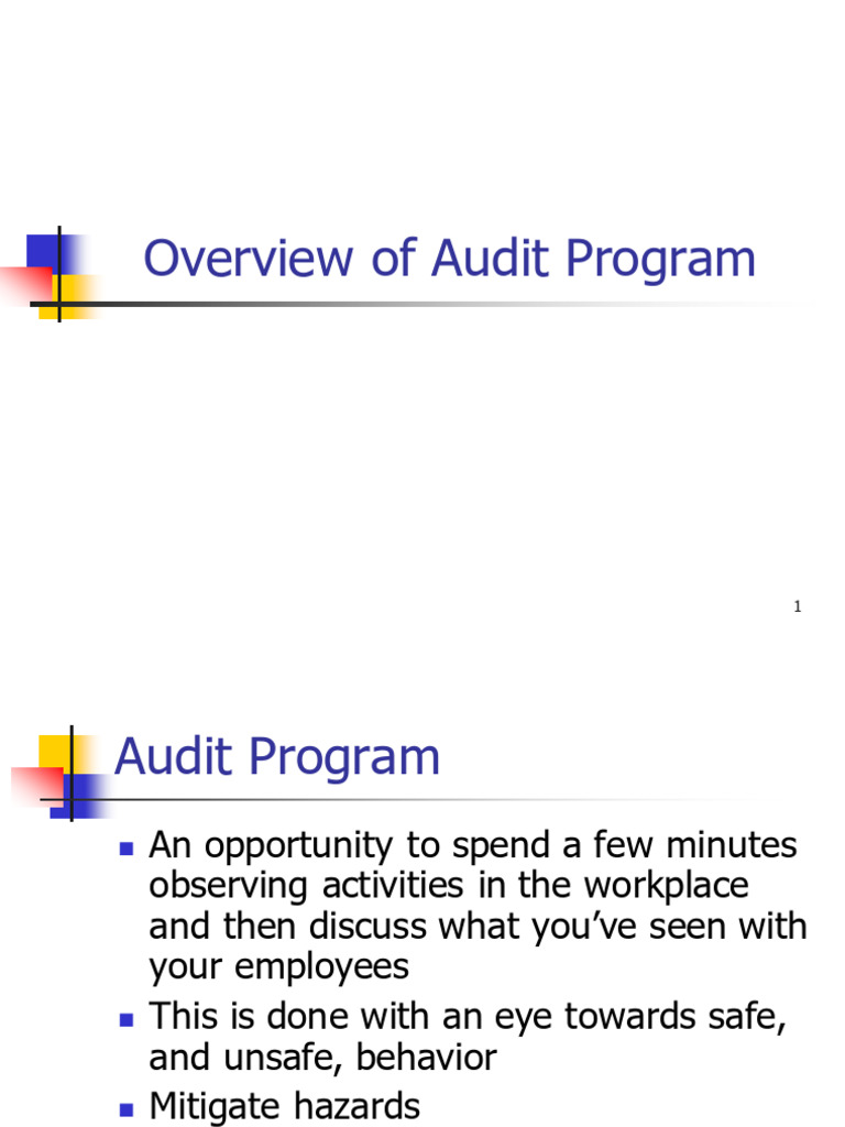 Safety Audit Program | PDF