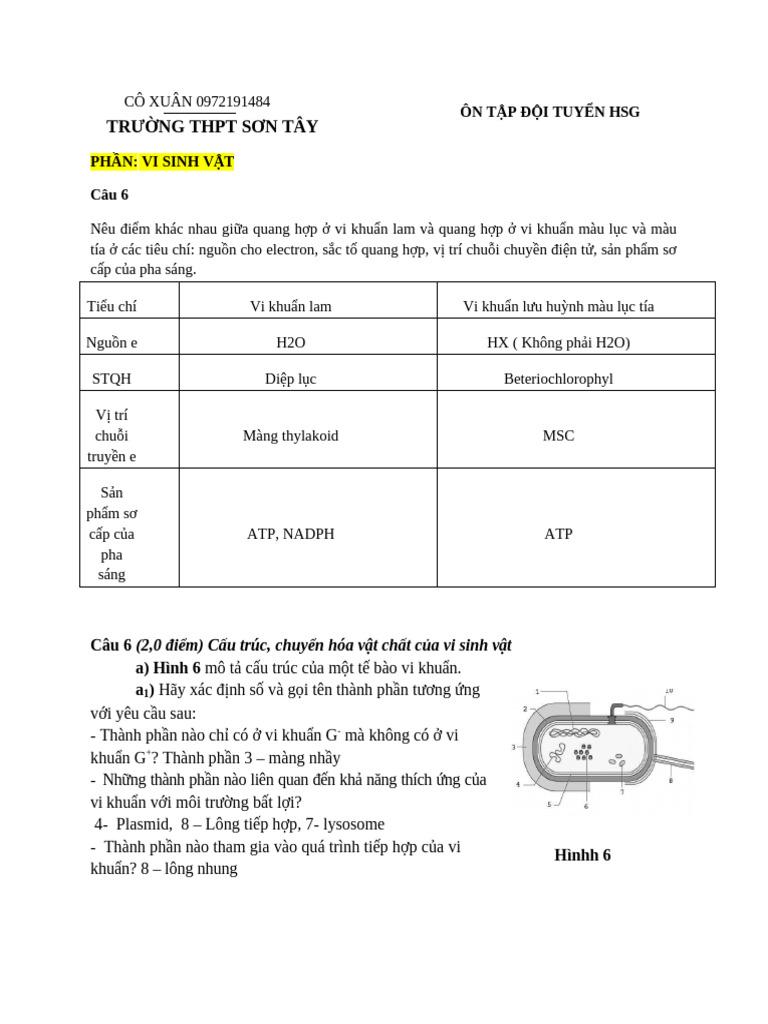 Ôn Tập Vsv + Tv (Lan 2) | PDF