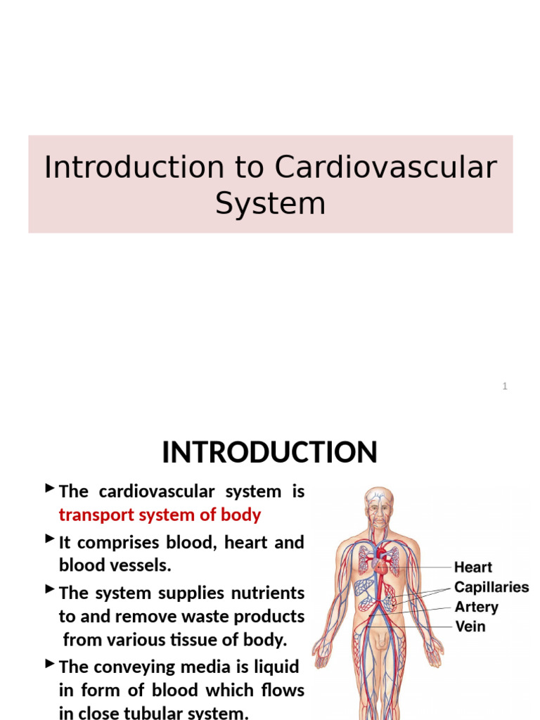 Intro Cardio Pdf