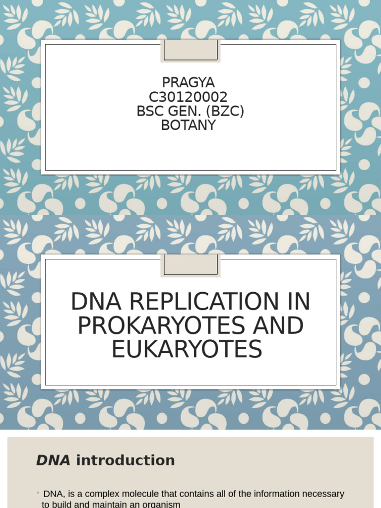 DNA Replication in Prokaryotes and Eukaryotes | PDF