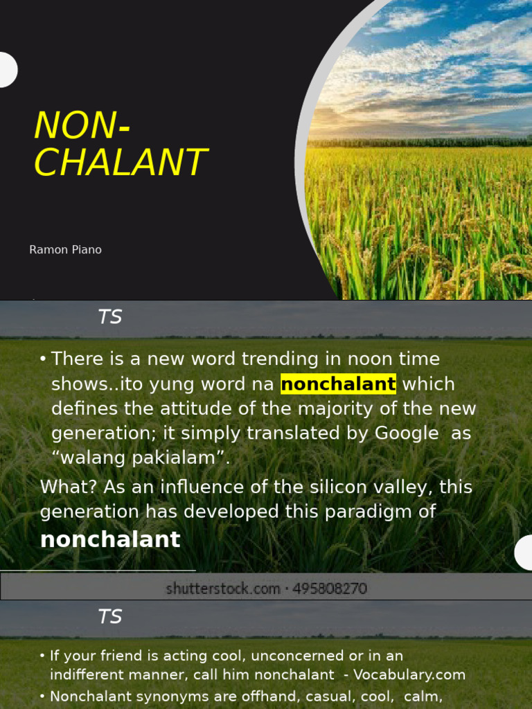 Non Chalant | PDF