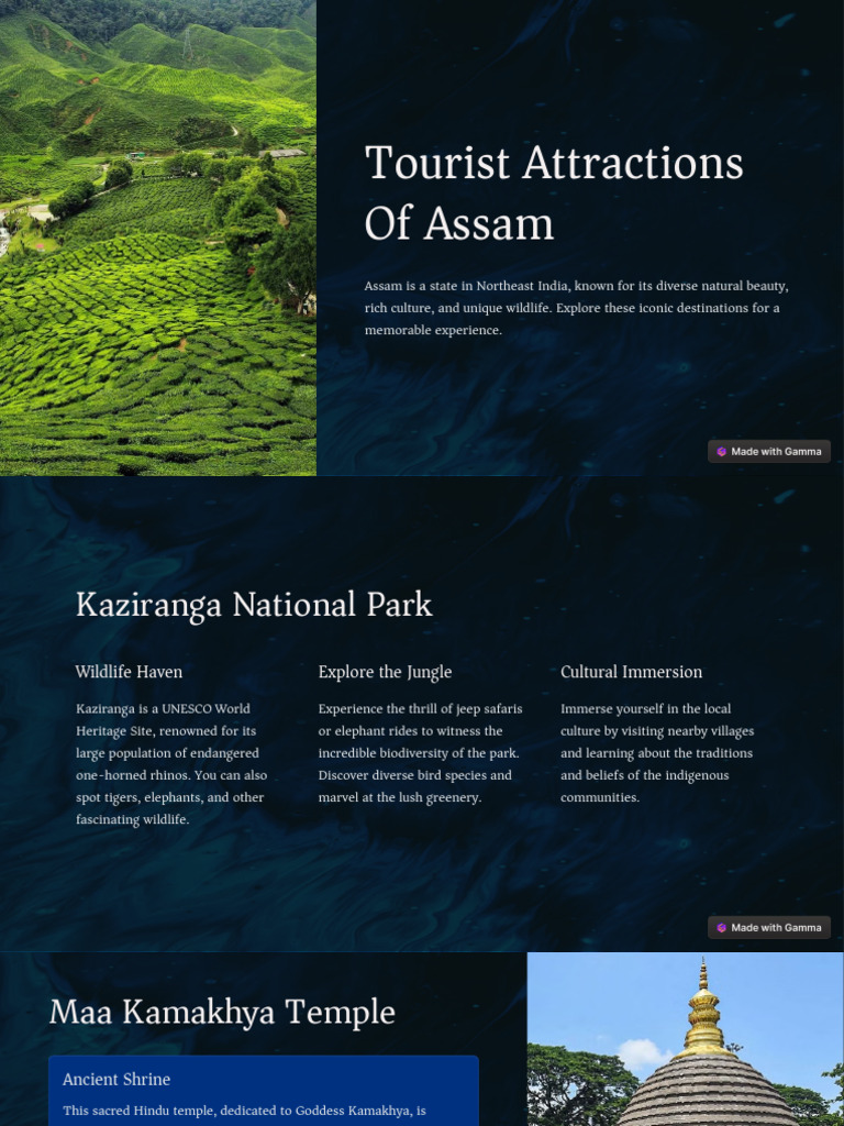 Tourist Attractions of Assam | PDF