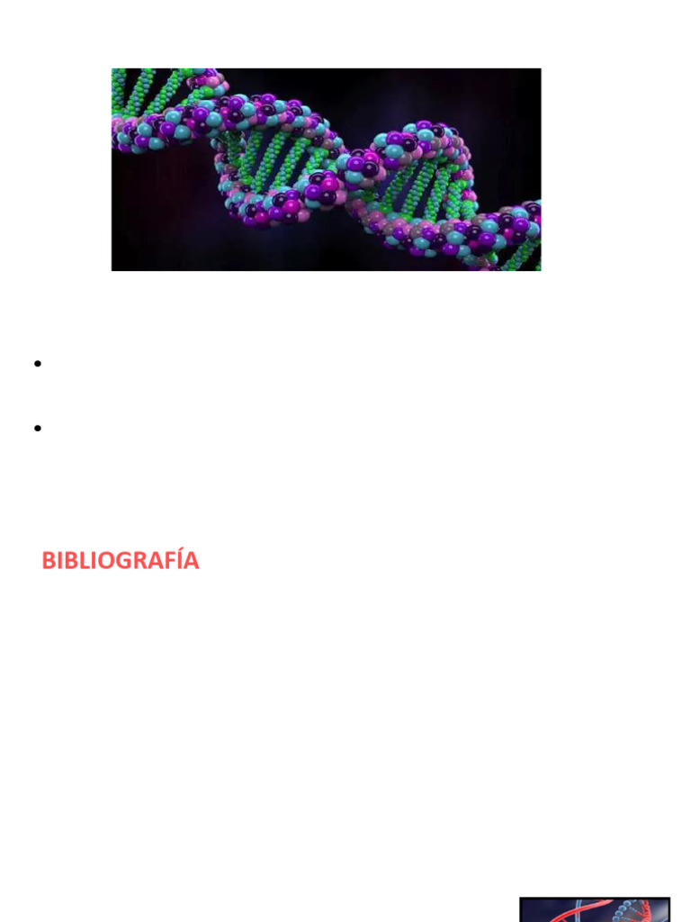 Conf. - Cidos Nucleicos | PDF