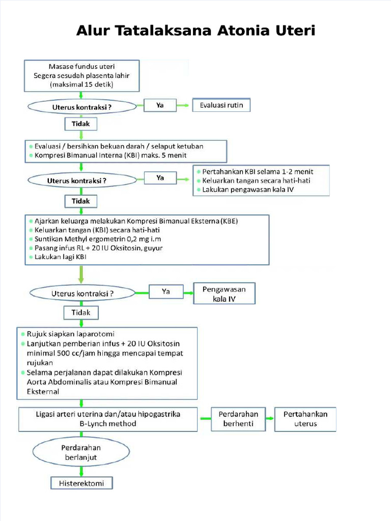 PDF Alur Tatalaksana Atonia Uteri Compress | PDF