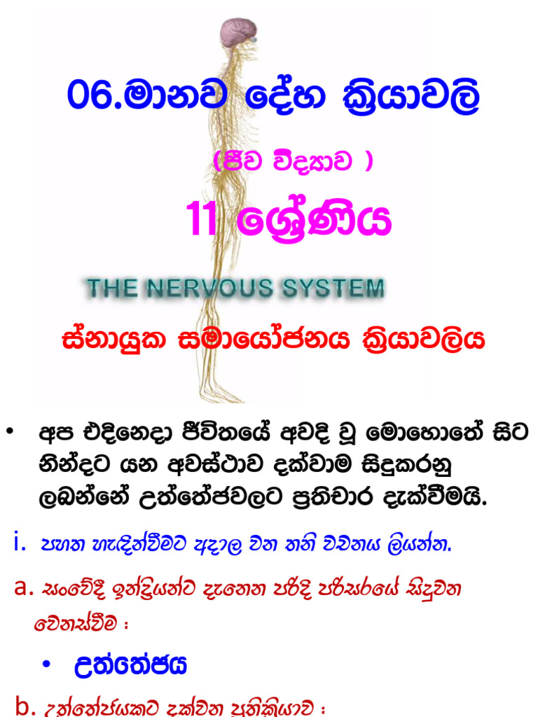 Unit 06 Samayojanaya | PDF