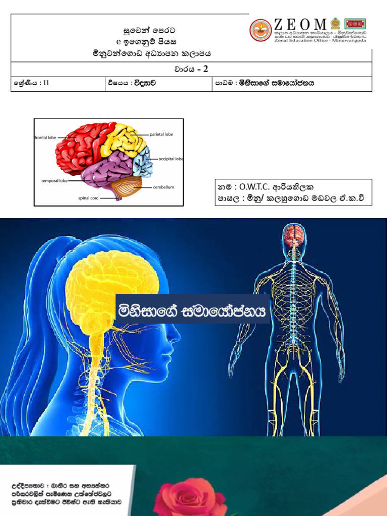 Manawa Deha Kriyawali - Minisage Samayojanaya Short Note Grade 11 ...