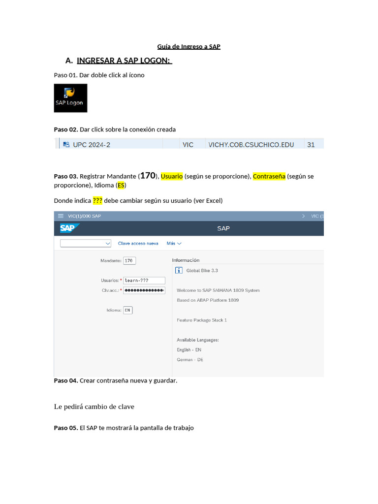 Guía 03. Configuración SAP 2024-2 | PDF