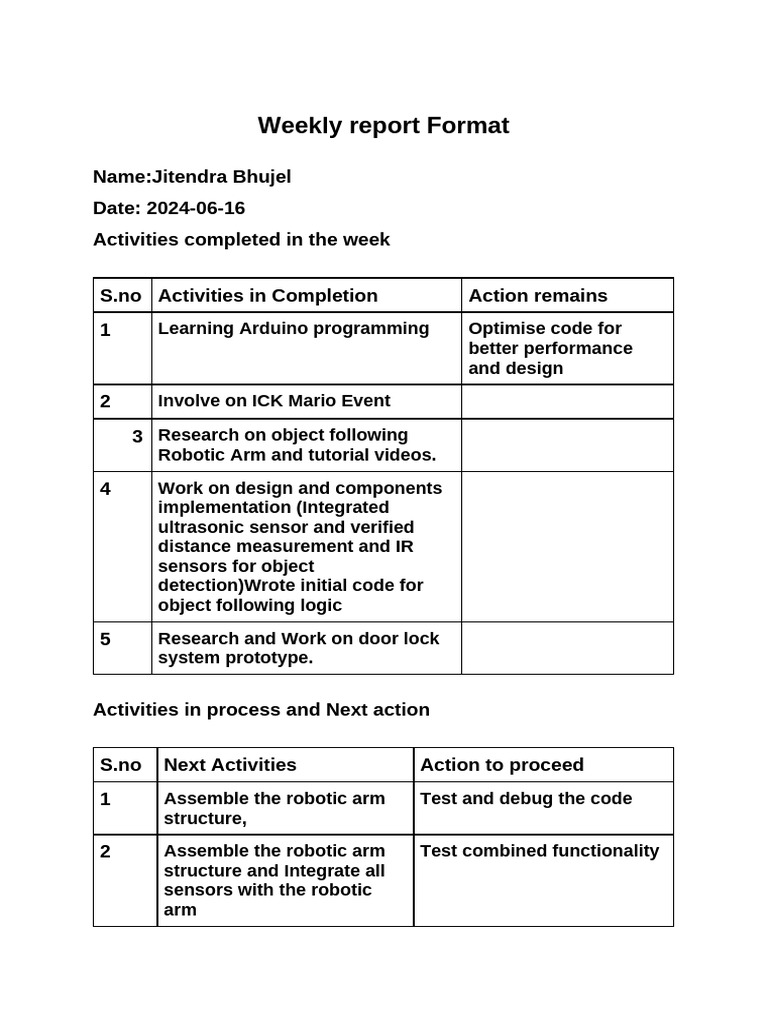 Weekly report Format | PDF