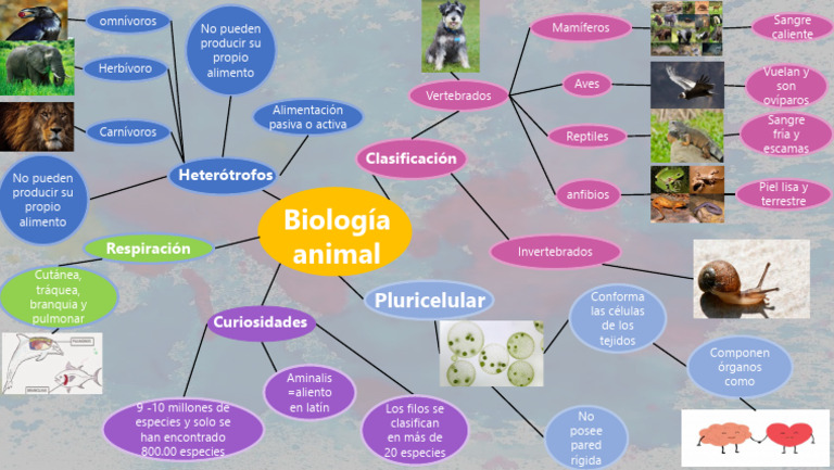 Biologia Animal | PDF