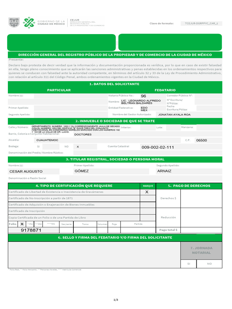 ejemplo llenado FORMATO CLG CDMX | PDF