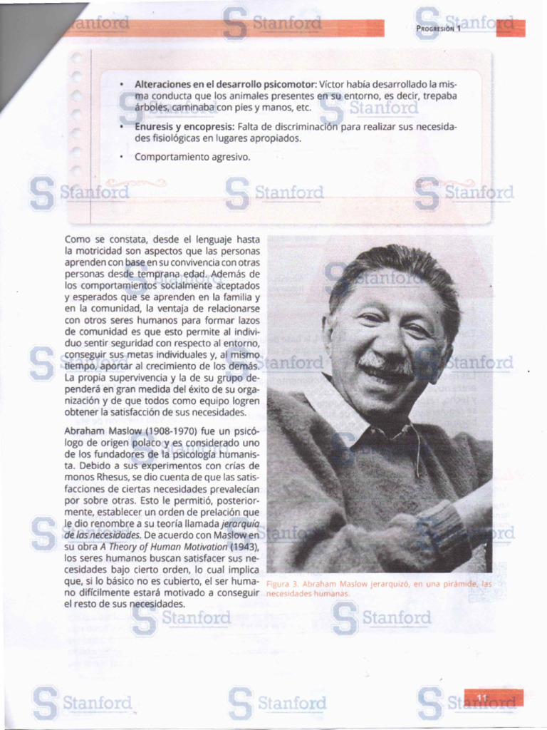 Progresion 1 Actividad 1 | PDF