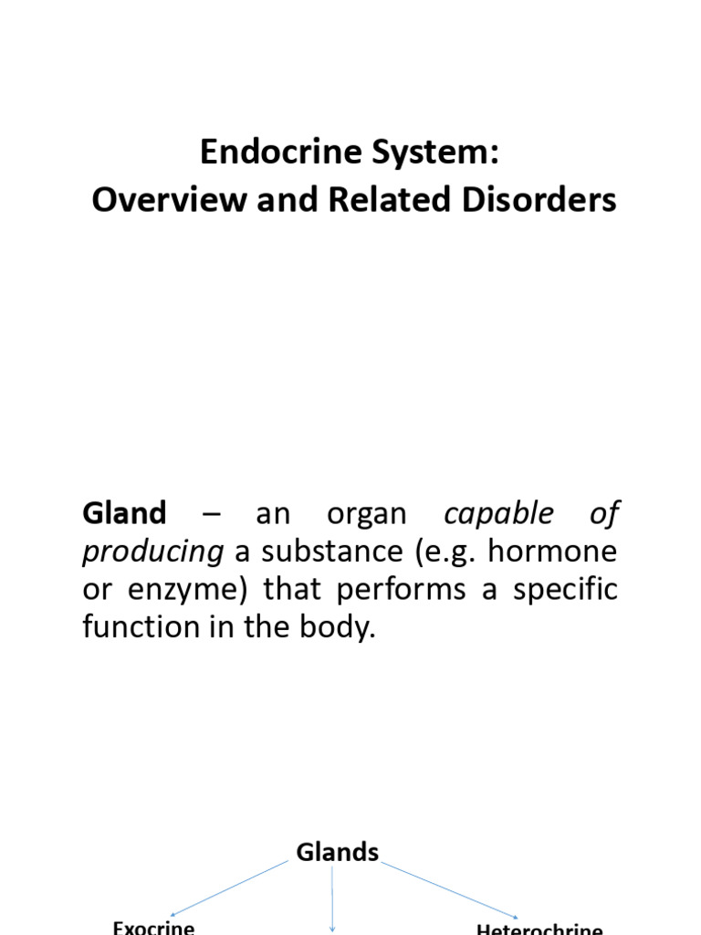 Endocrine System Overview and Related Disorders | PDF