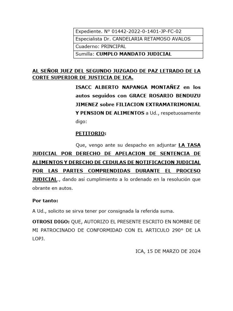 Adjunta Constancia de Depósito Judicial ISSAC | PDF