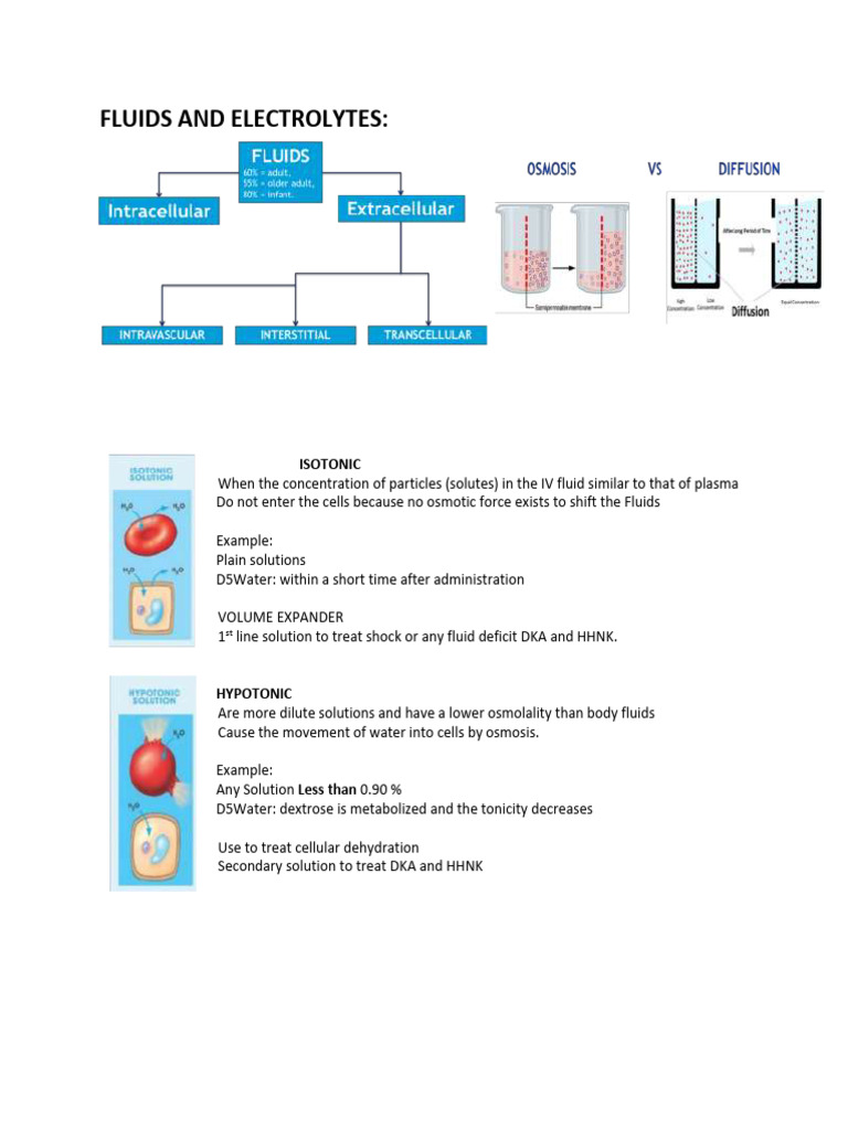 Fluids and Electrolytes 1 | PDF