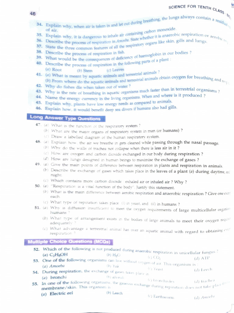 Xtra Question Respiration Class 10th Bio | PDF