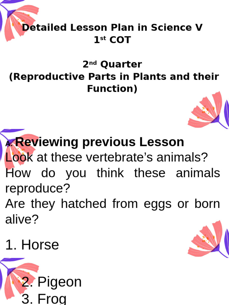 My Presentation For COT | PDF