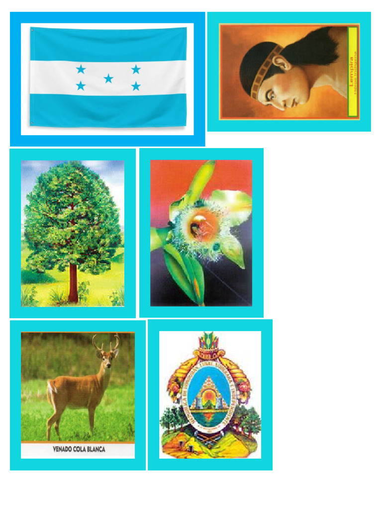 Proceres y Símbolos Patrios de Honduras | PDF