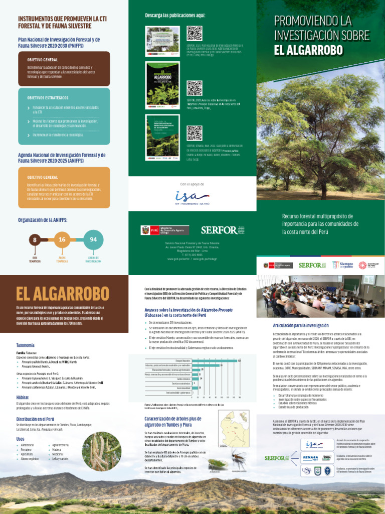 SERFOR 2023 Triptico Algarrobo | PDF