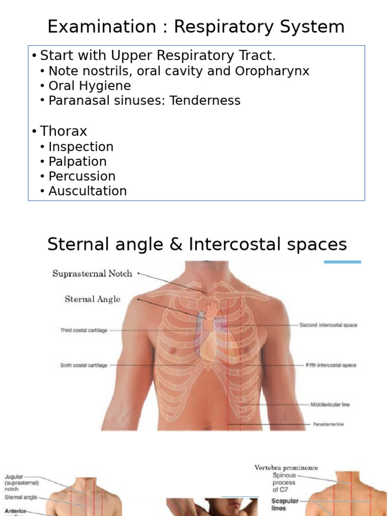 Exam REsp System | PDF