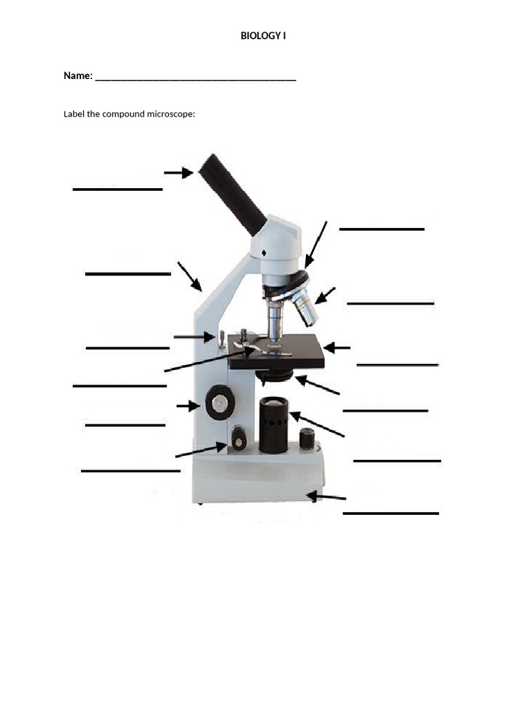Compound Microscope - Biology 1 | PDF | Business