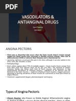 Antianginal Class | PDF | Vasodilation | Vascular Diseases