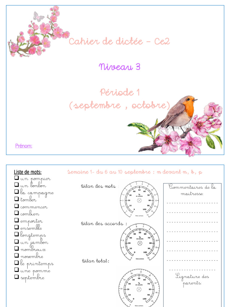 Cahier de Dictee Niveau 3 | PDF