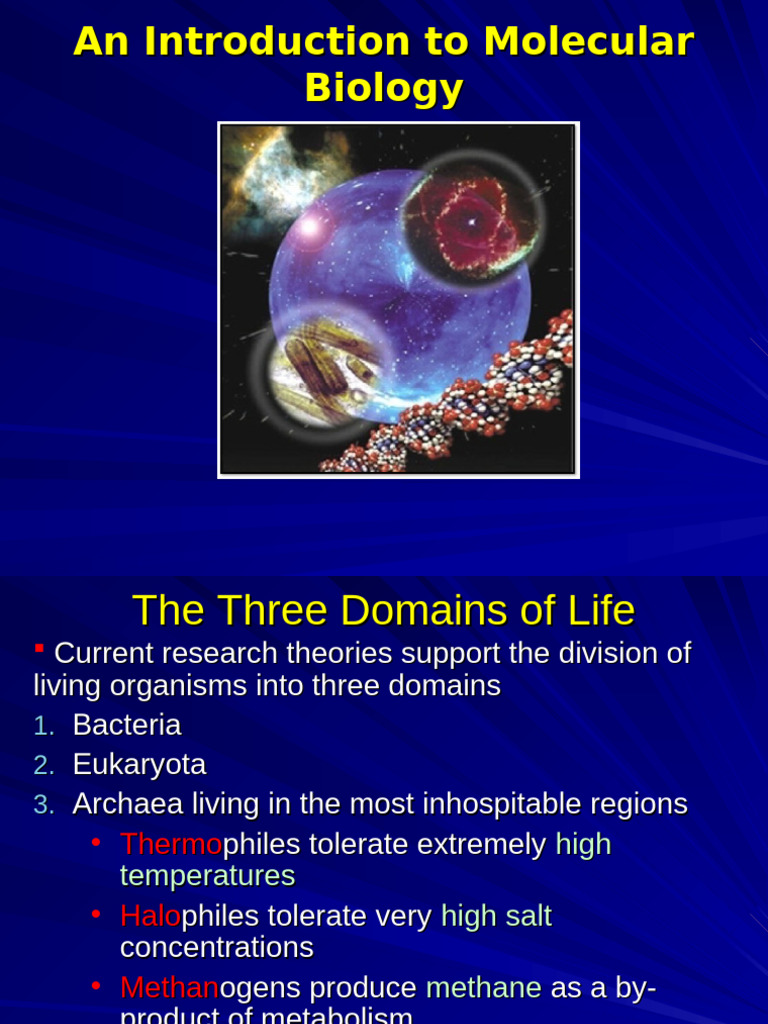 Chapter 1 An Introduction To Molecular Biology | PDF