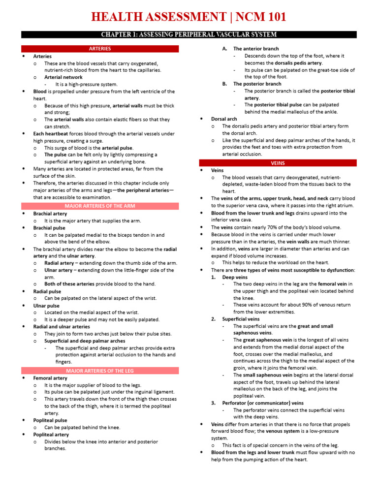 Assessing Peripheral Vascular System | PDF