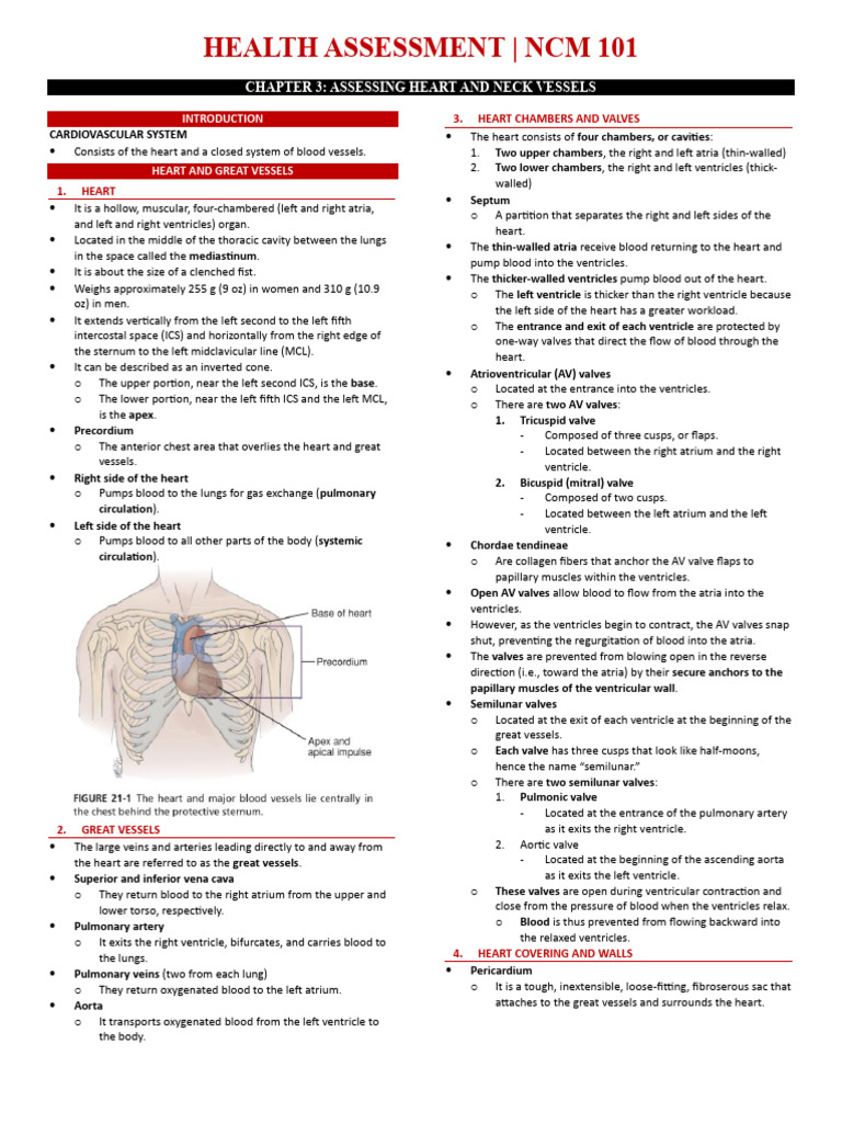 Assessing Heart and Neck Vessels | PDF