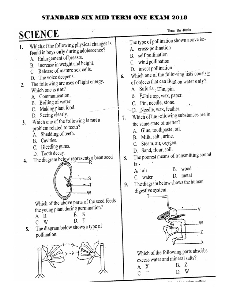Science STD 6 Mid Term 1 2018 | PDF | Business
