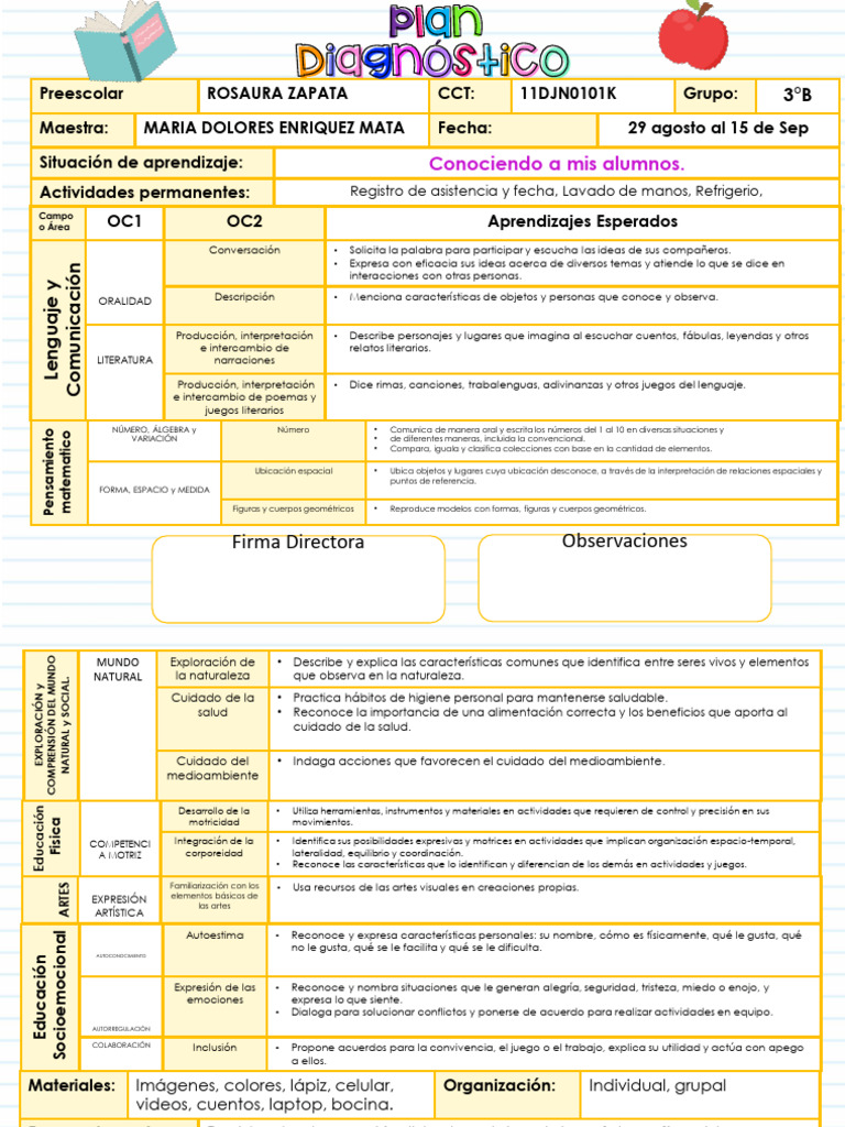 Plan Diagnóstico 2021 IMPR | PDF