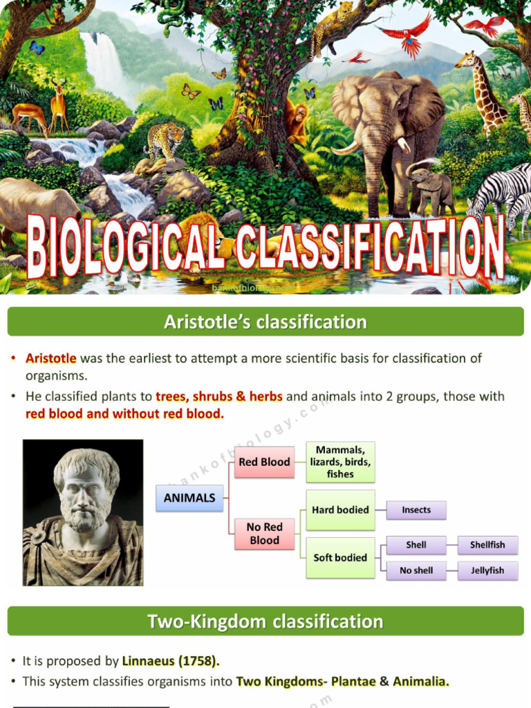 2 Biological Classification Class 11 - Picture Slides - Demo | PDF