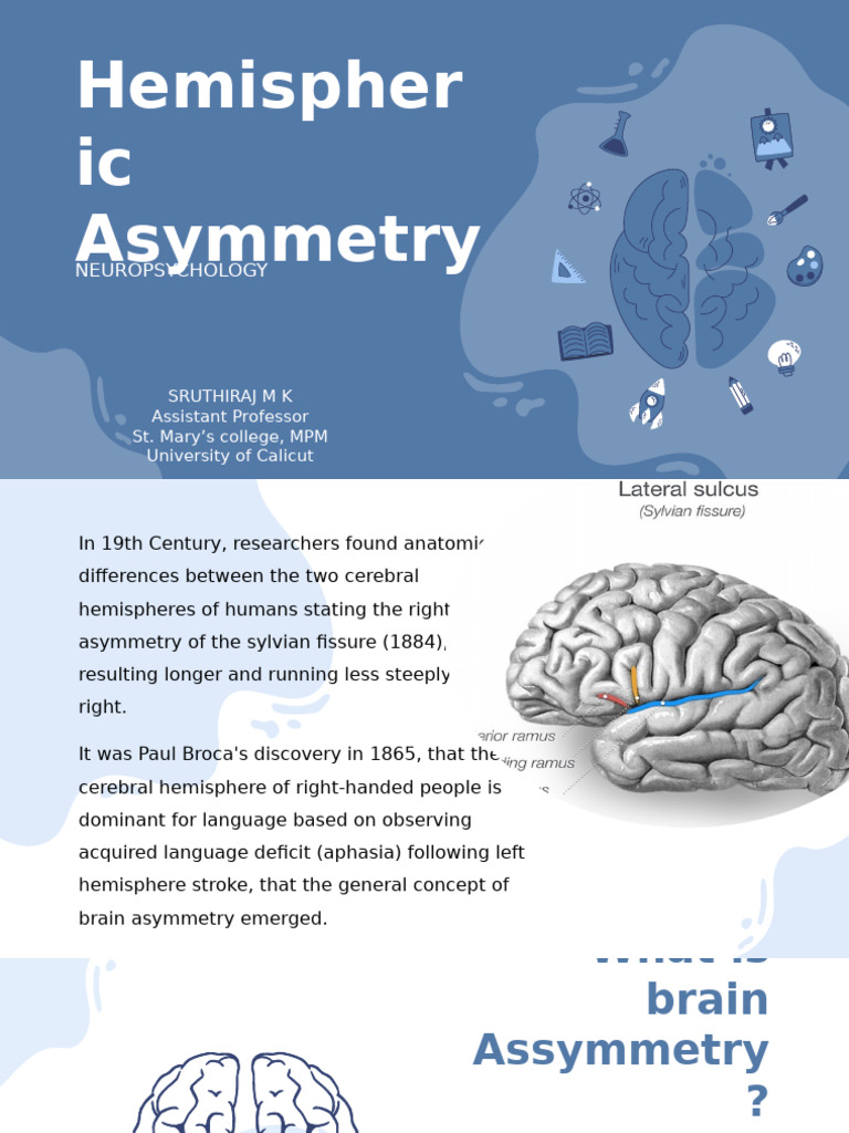 Understanding Brain Hemispheric Asymmetry | PDF | Lateralization Of ...