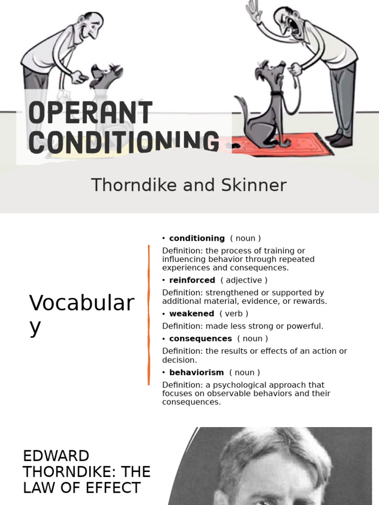 Operant Conditioning | PDF