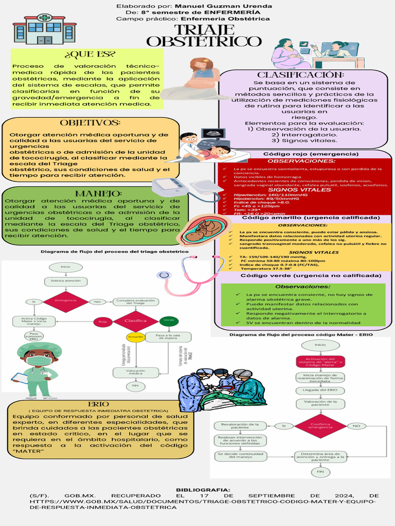 INFOGRAFIA TRIAGE OBSTETRICO | PDF