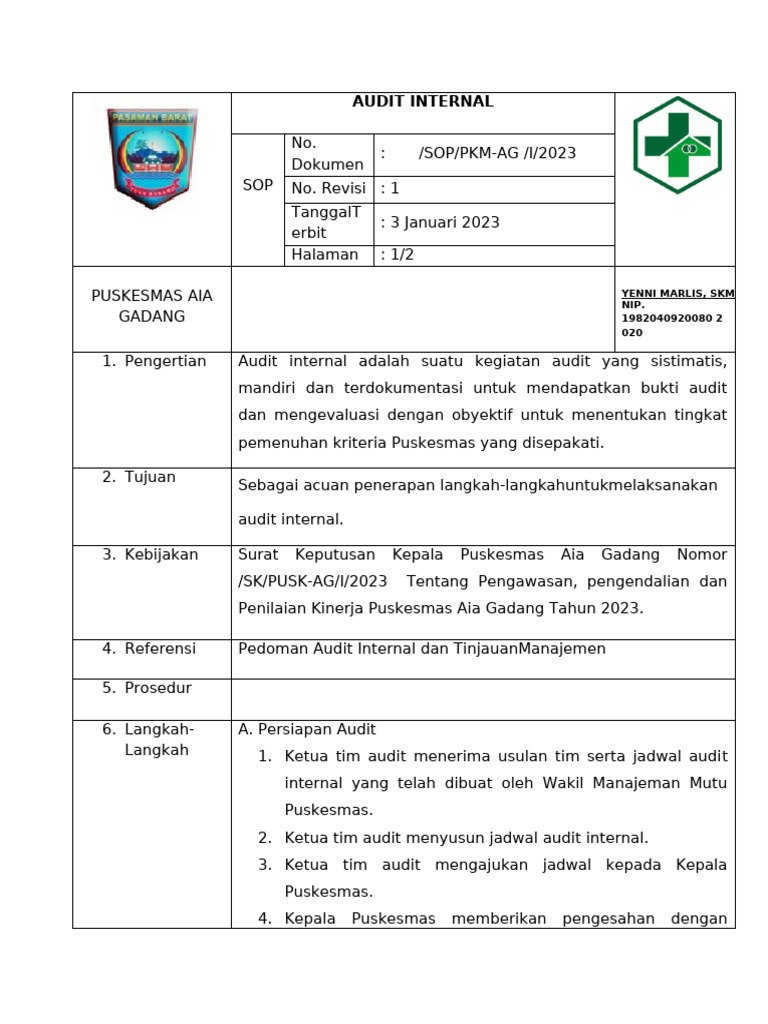 Sop Audit Internal | PDF | Financial Services | Business Economics