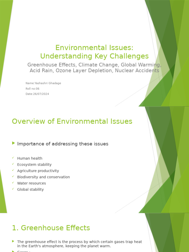 Environmental Issues | PDF