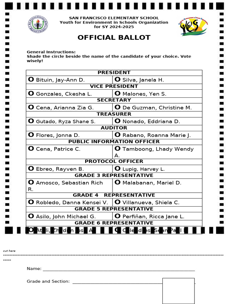 Official Ballot Yes o Election | PDF