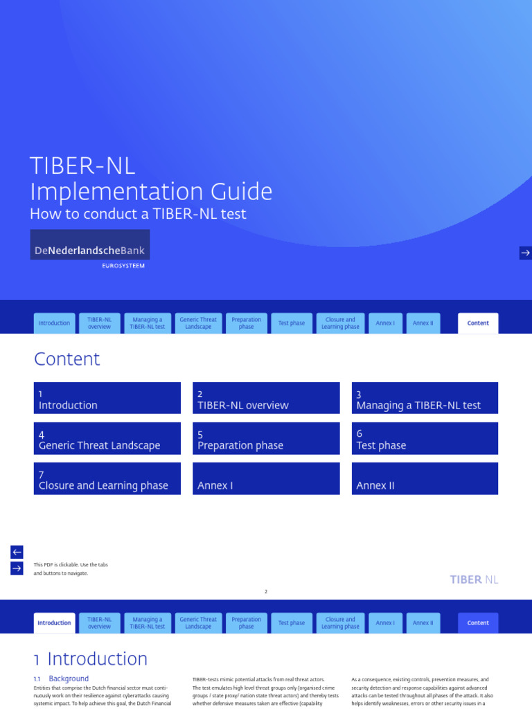 DNB Tiber Guide | PDF